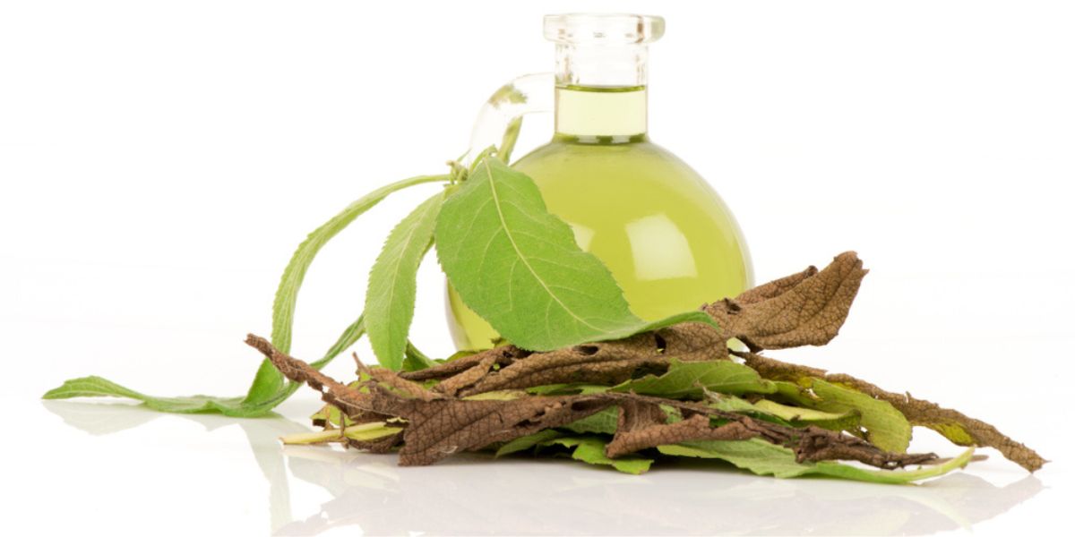 Camphor Oil Benefits: Health Uses and Precautions